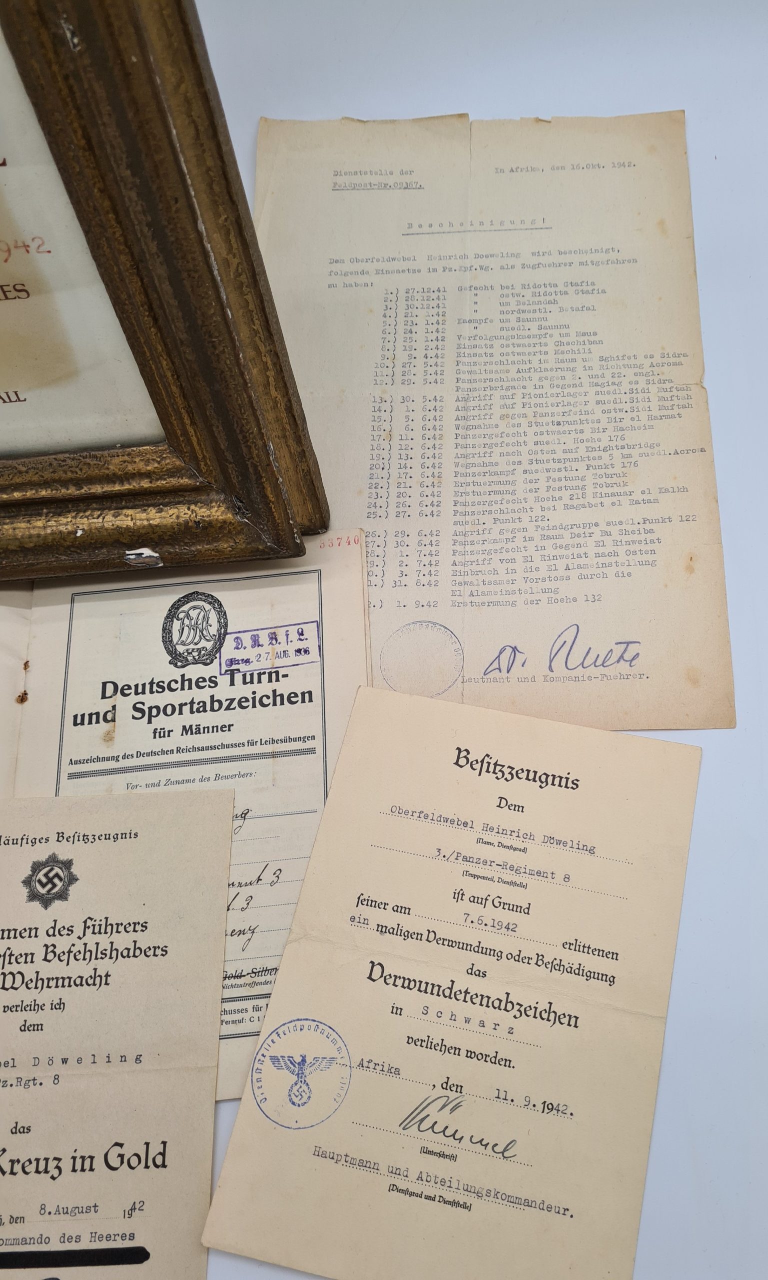 Panzer Regiment 8 DKIG Grouping - Panzertruppe Collectables